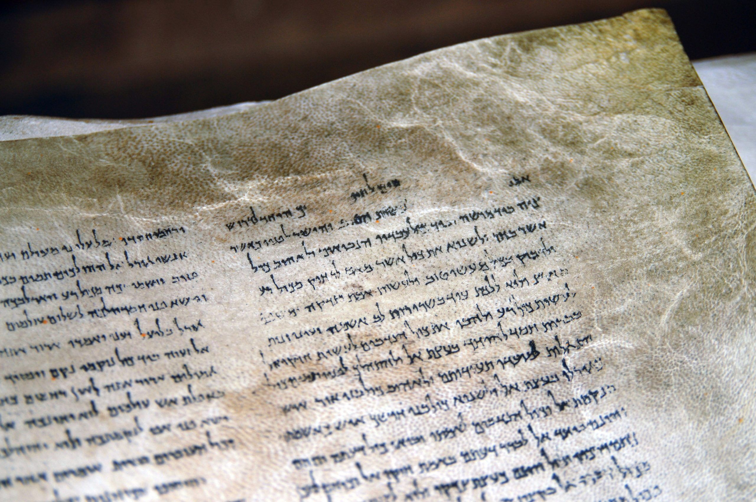 How Fake Dead Sea Scrolls Pushed Homophobia - INTO