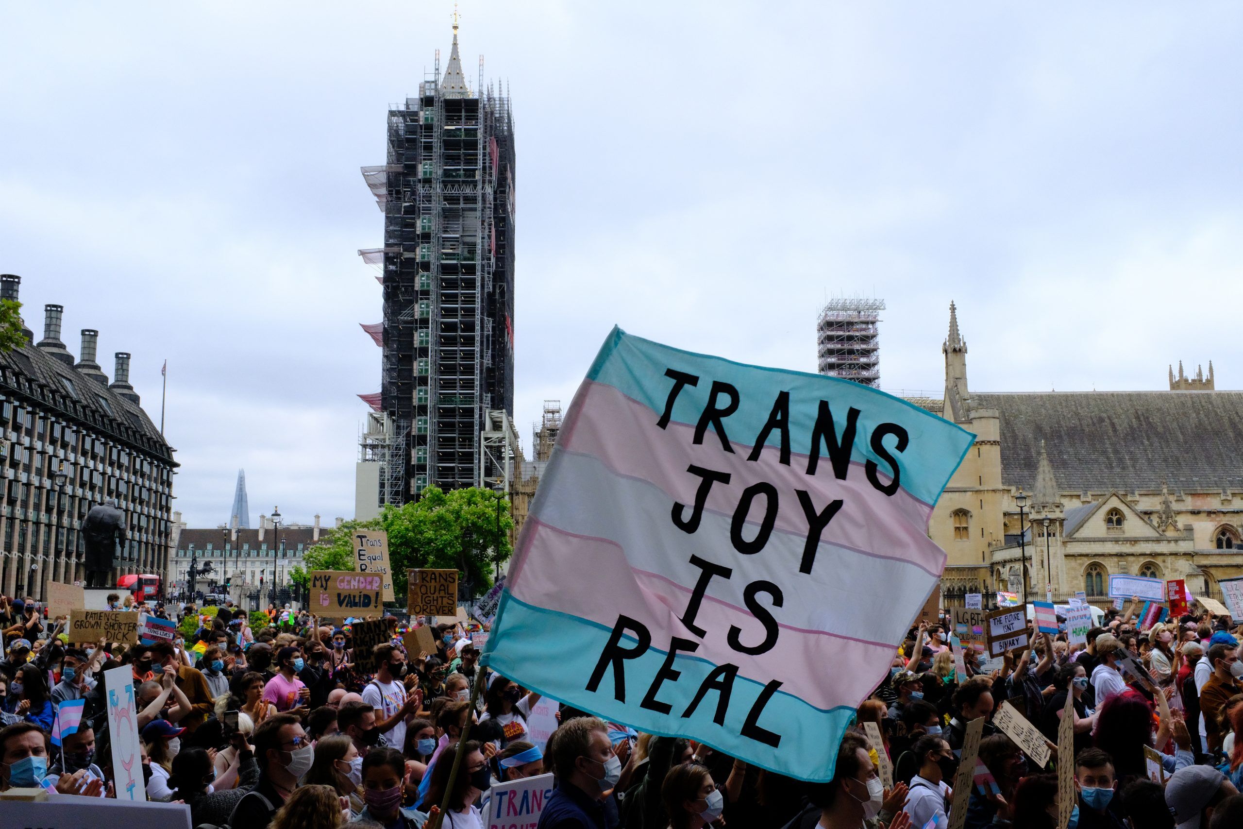What's Giving Us Trans Joy This Week? - INTO