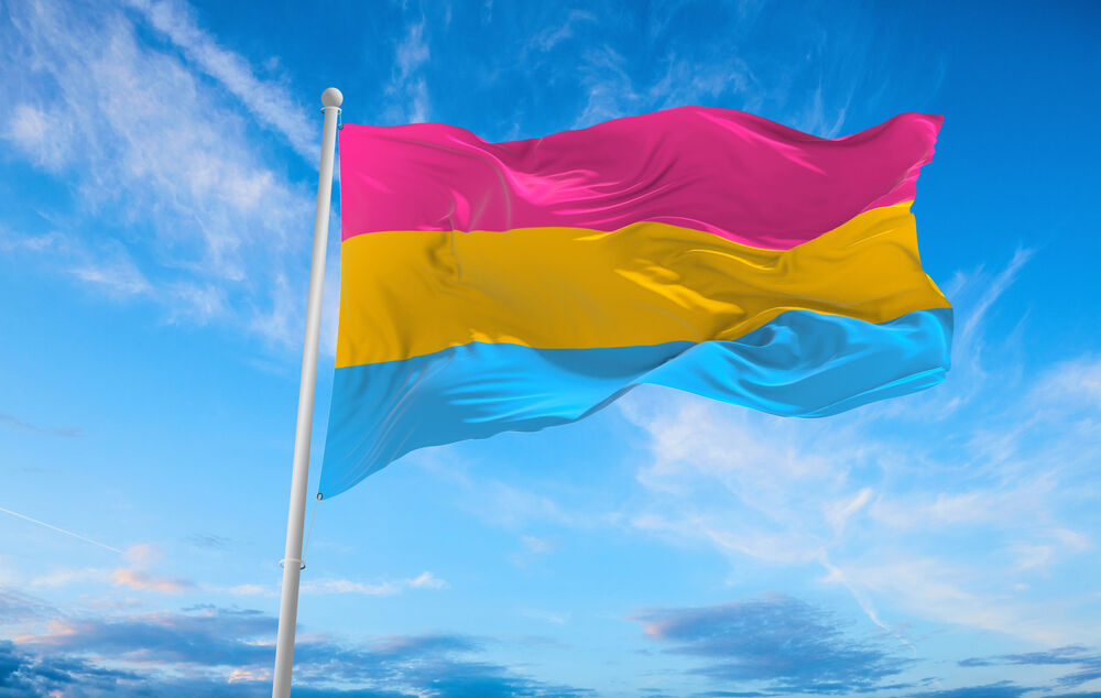 Happy National Pansexual Pride Day & Pan Pride Week, Everyone! - INTO