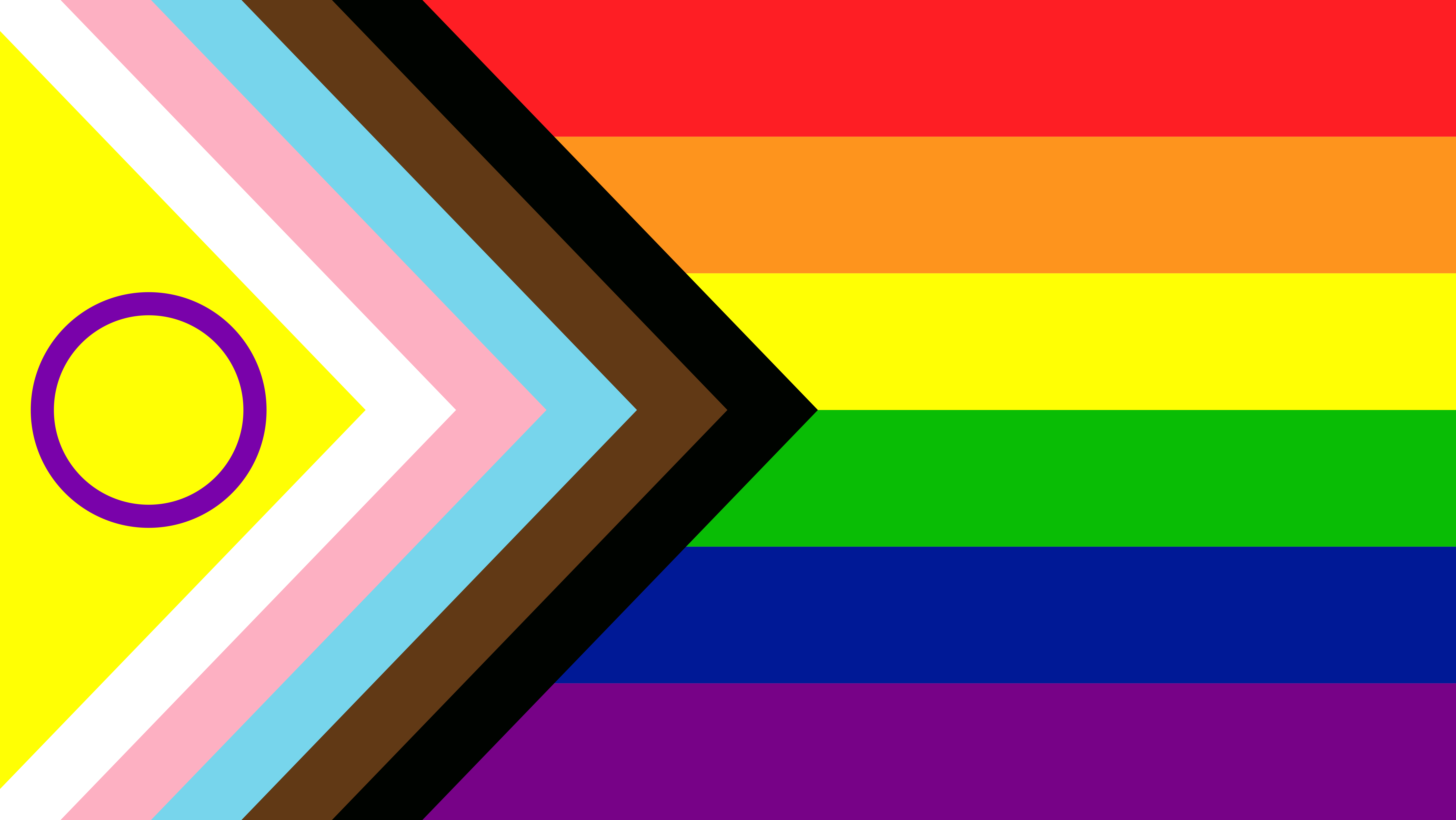 Everything You Ever Wanted to Know About the Progress Flag - INTO