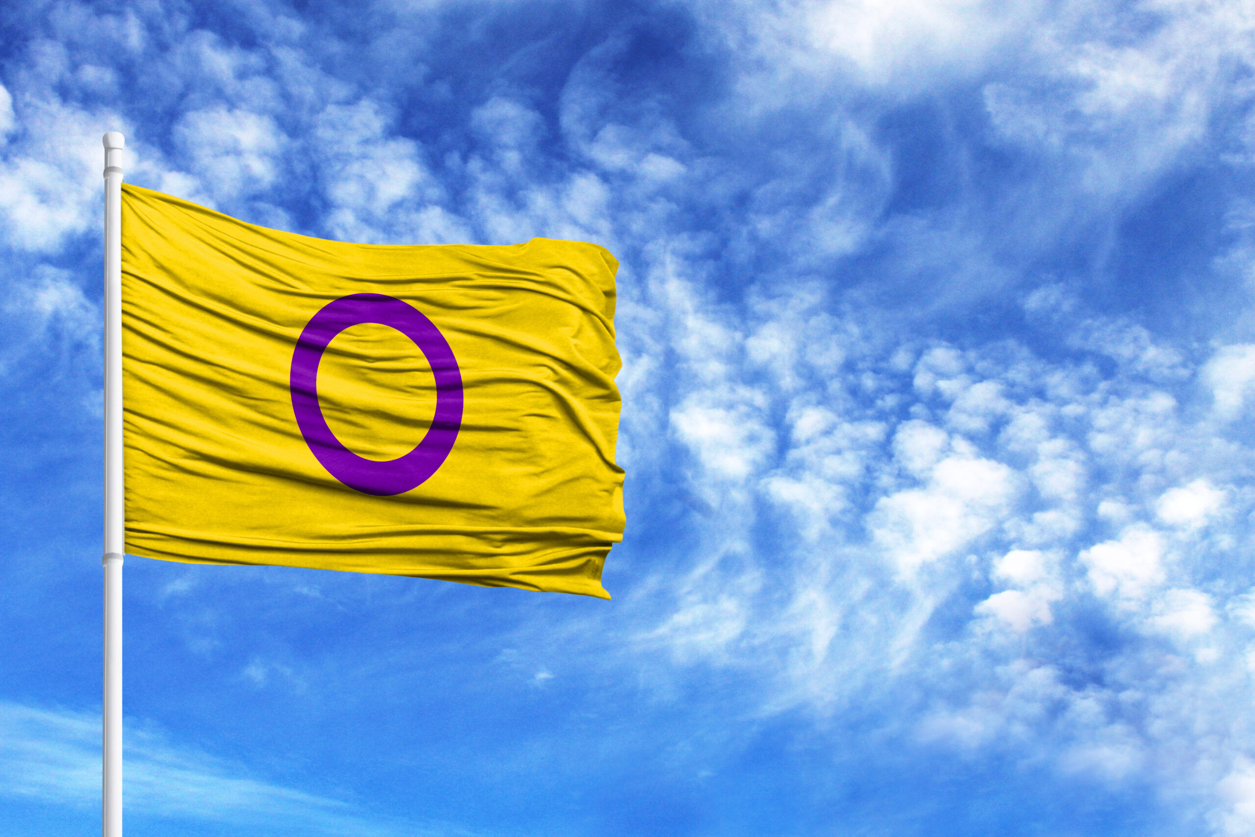 The Intersex Pride Flag - INTO