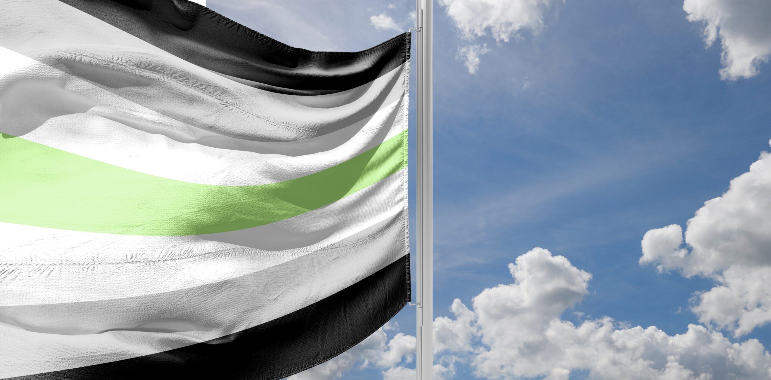 The Agender Pride Flag - INTO