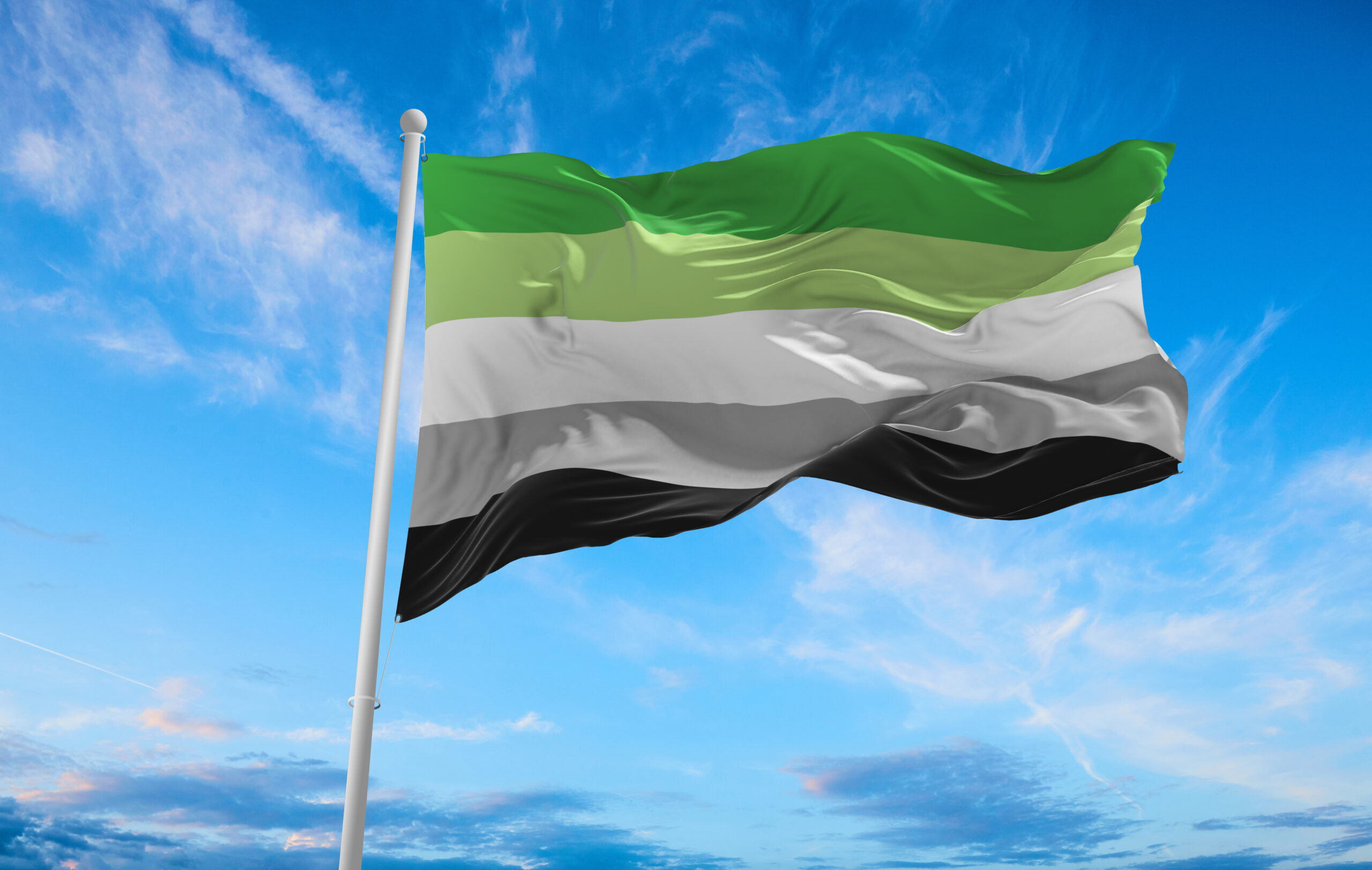 The Aromantic Pride Flag - INTO