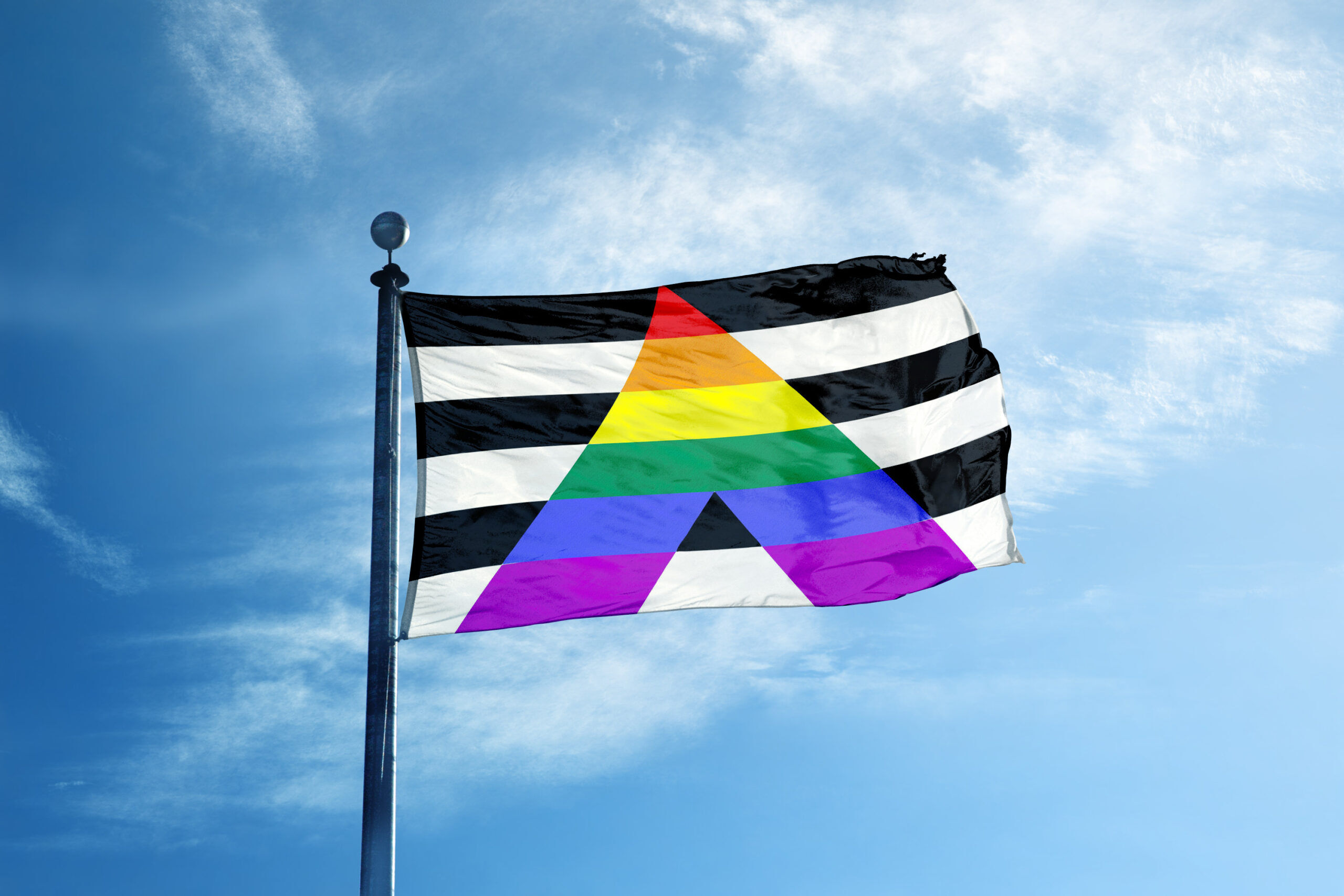 The Ally Pride Flag - INTO