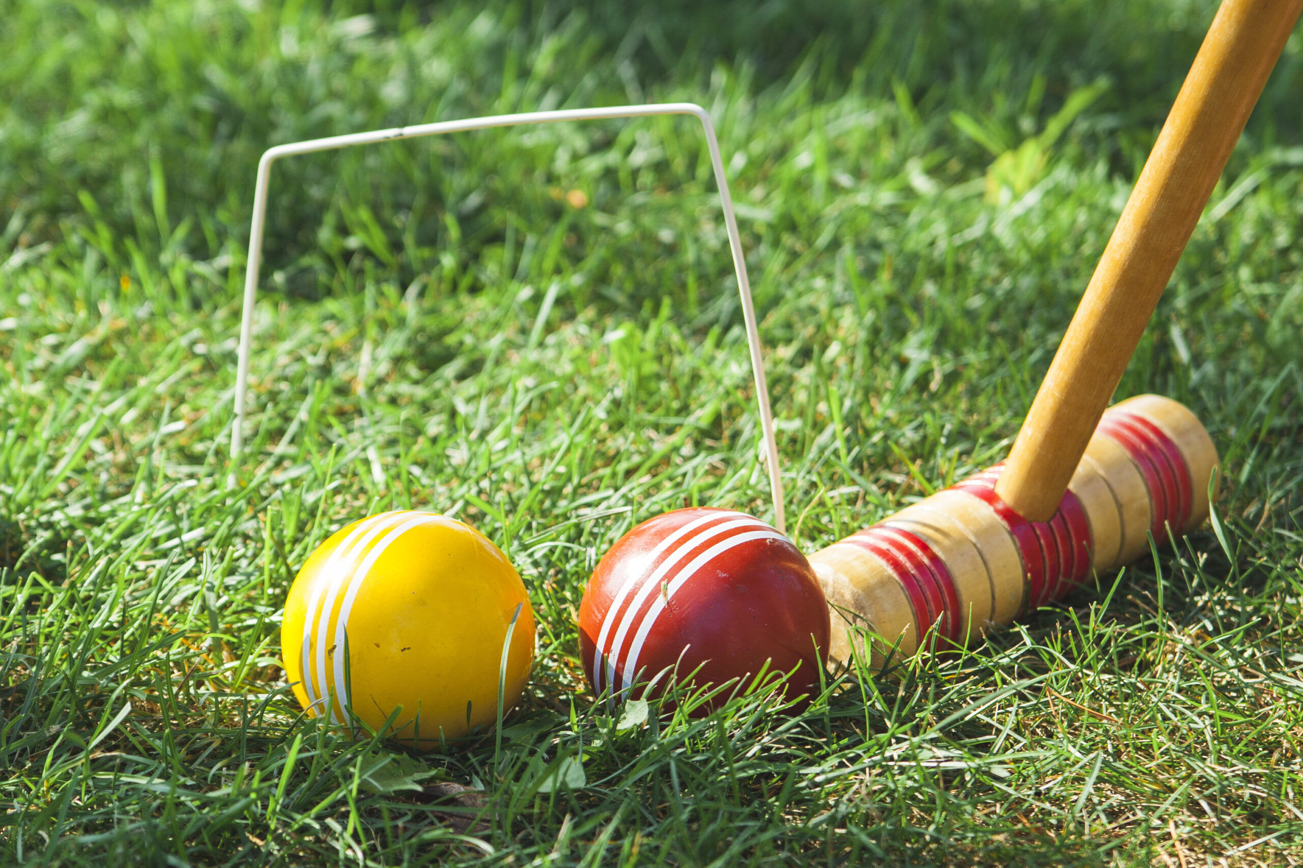 Conservatives throw hissy fit after trans woman becomes croquet world ...