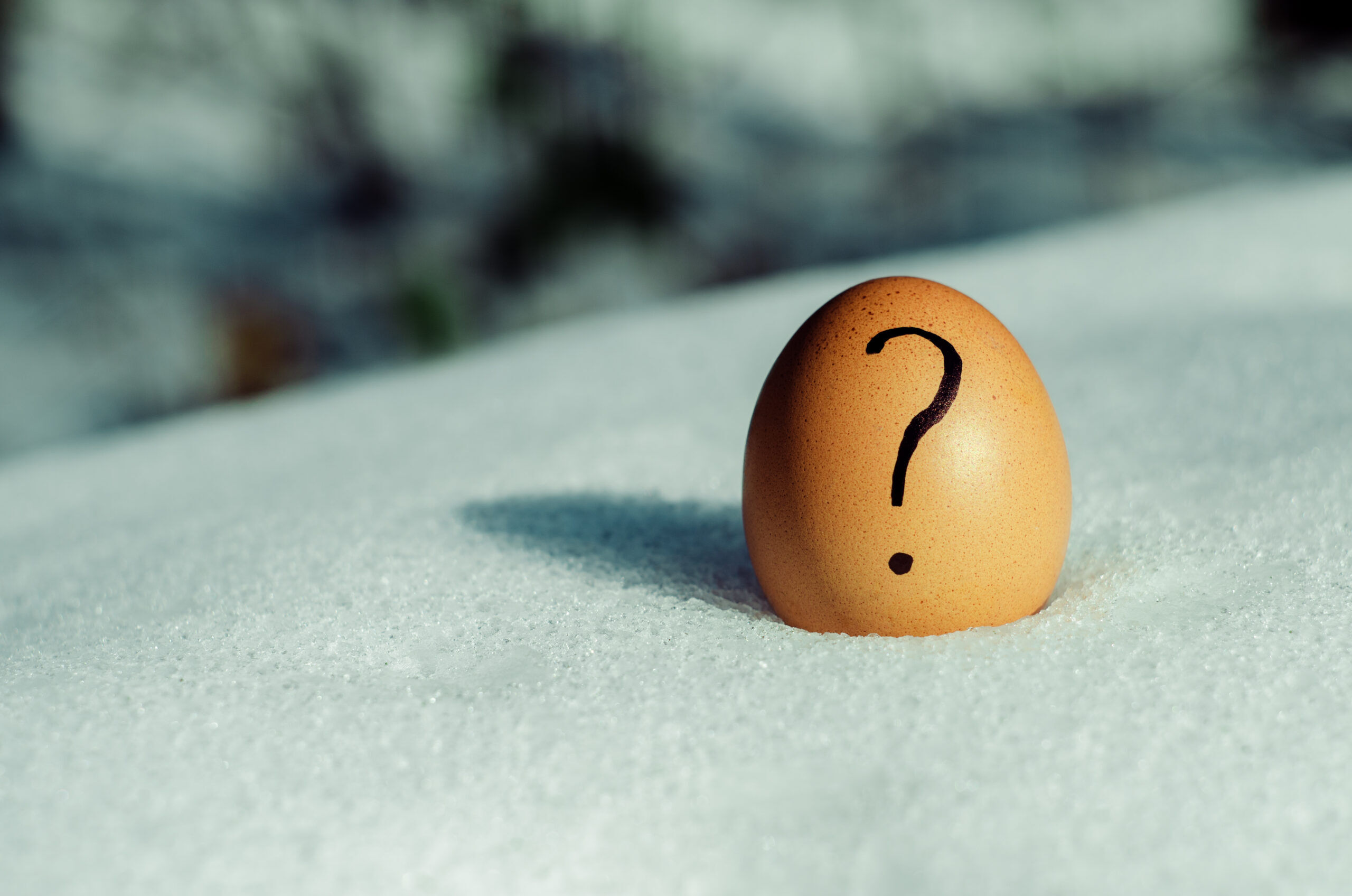 What is a transgender egg and is it okay to identify as one? - INTO