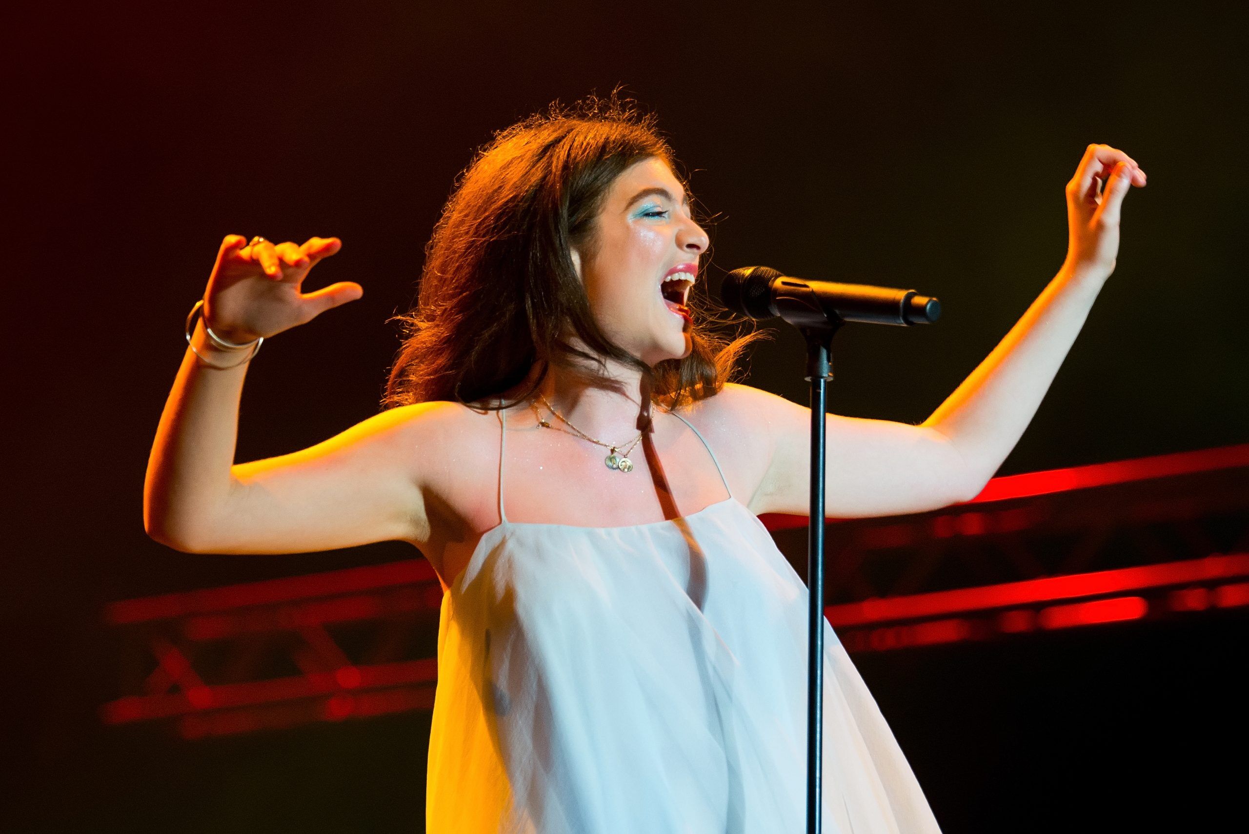 Lorde's new profile pic has the gays asking questions - INTO