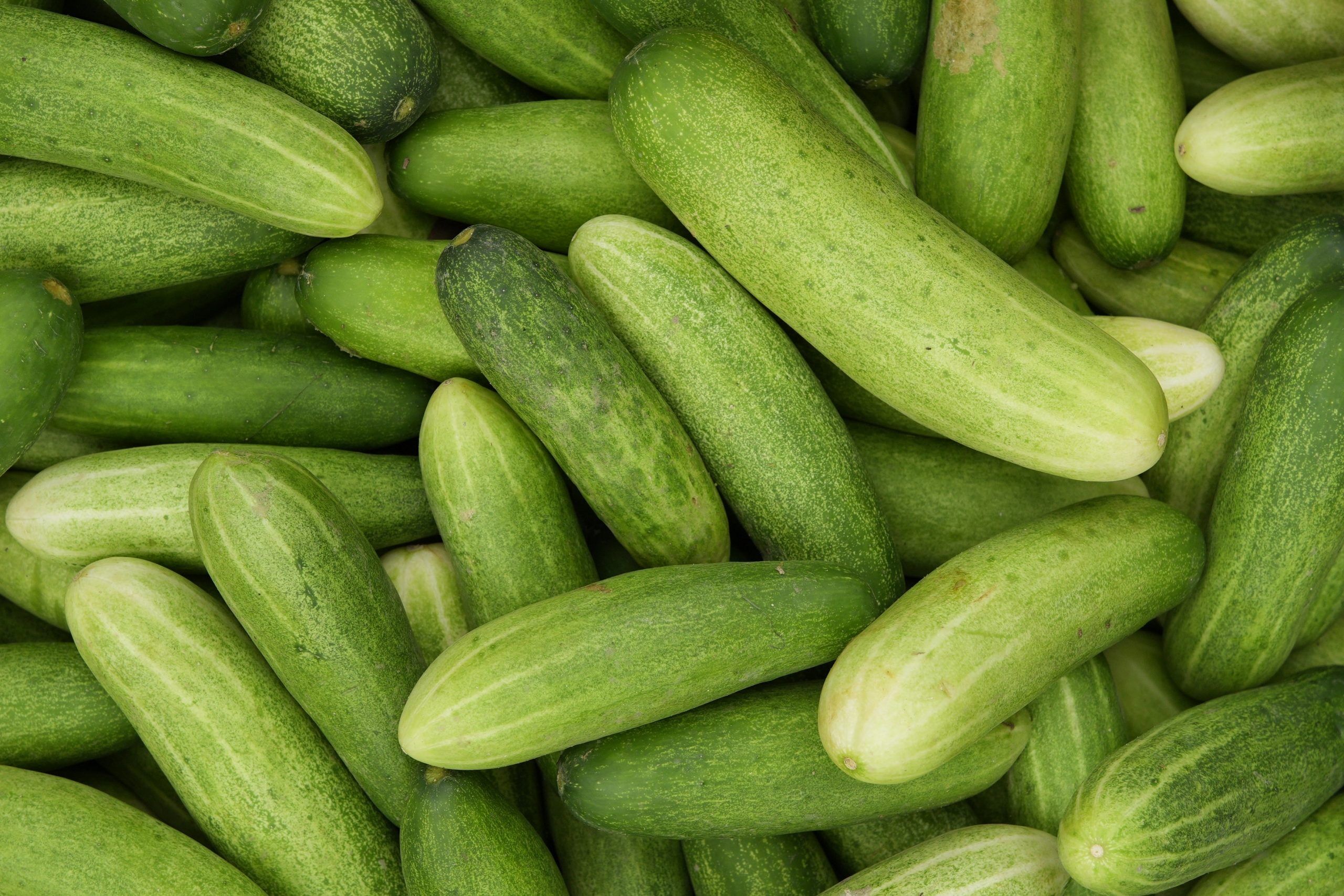 Who is the cucumber twink and why is everyone obsessed? - INTO
